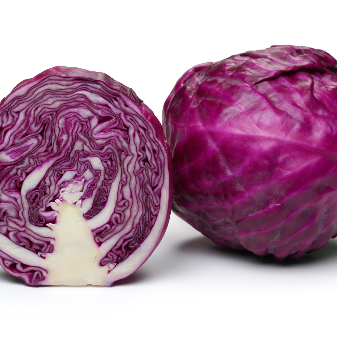 Red Express Cabbage – Pangea Seeds