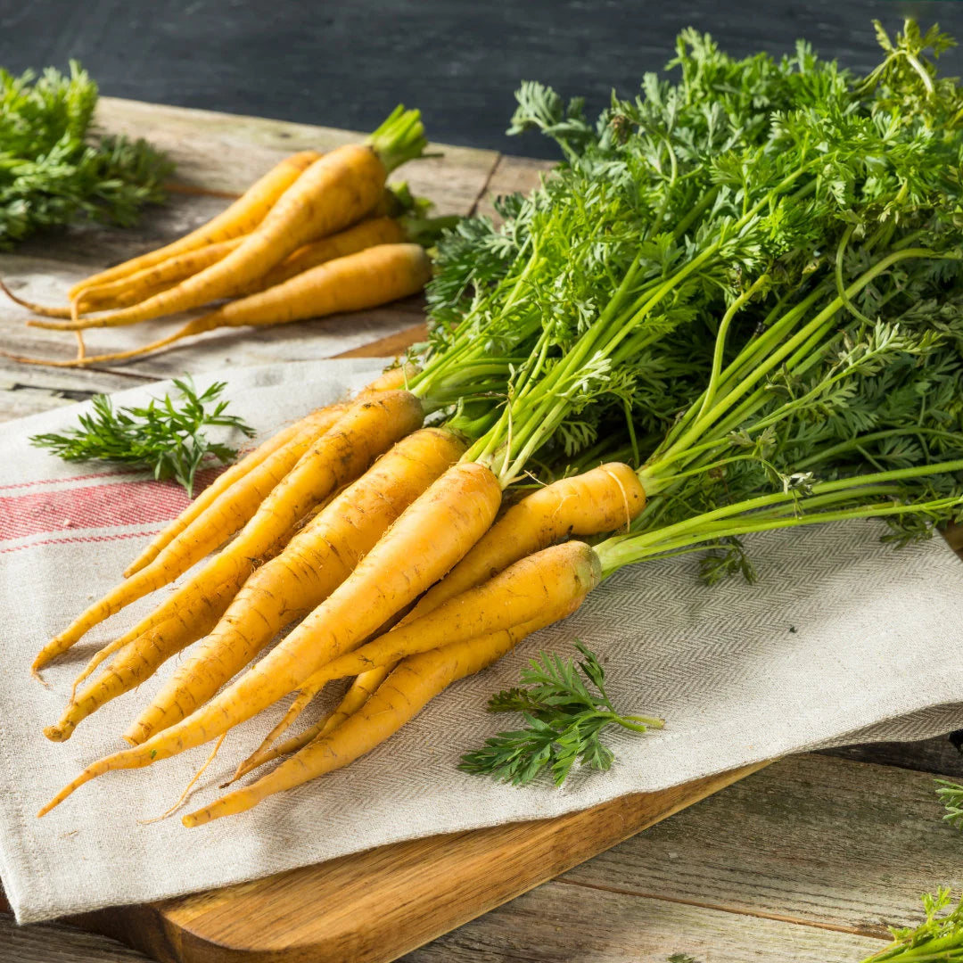 Yellowstone Carrots Seeds – Pangea Seeds